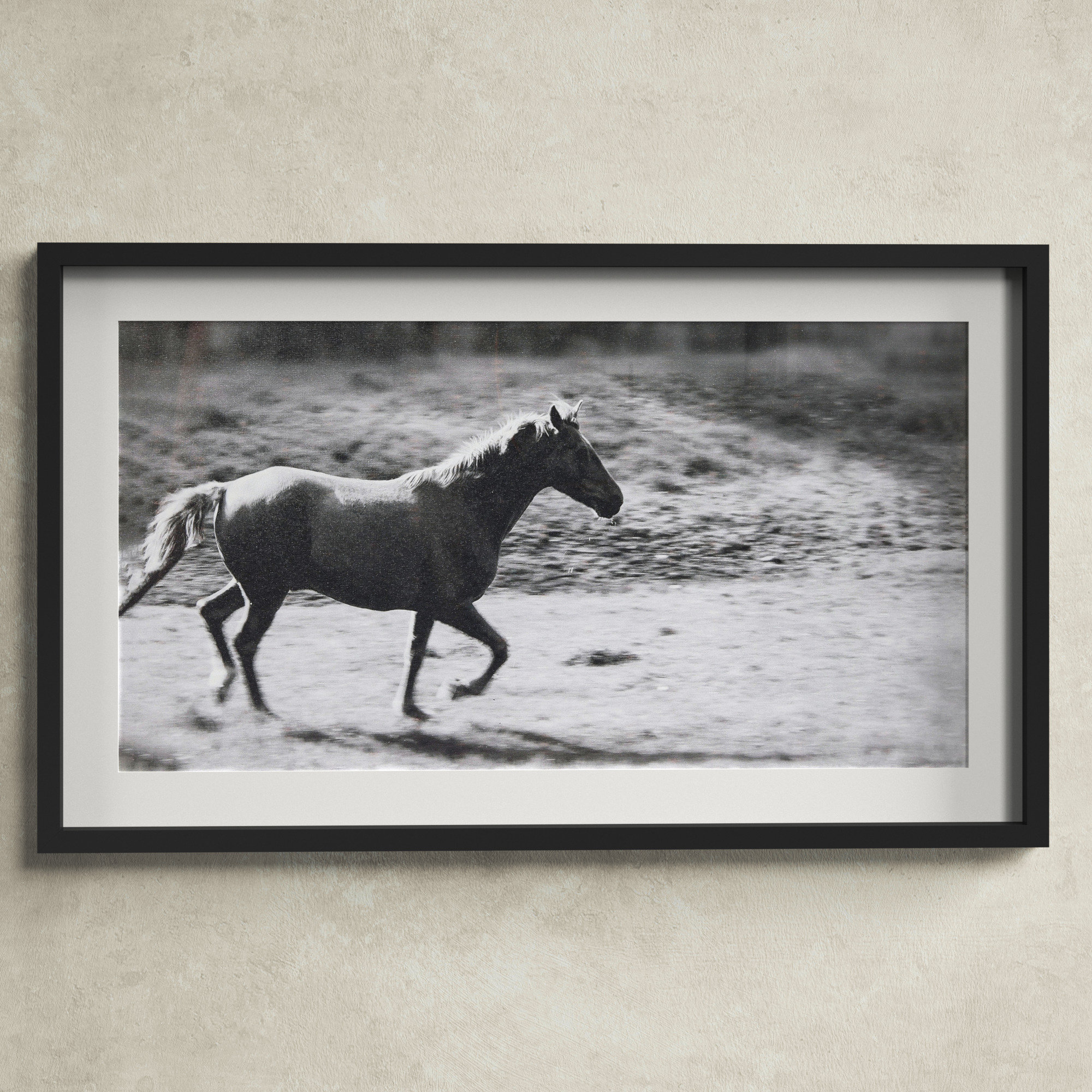 Birch Lane™ Galloping Horse Print With Wood Frame - Solid Wood Print ...