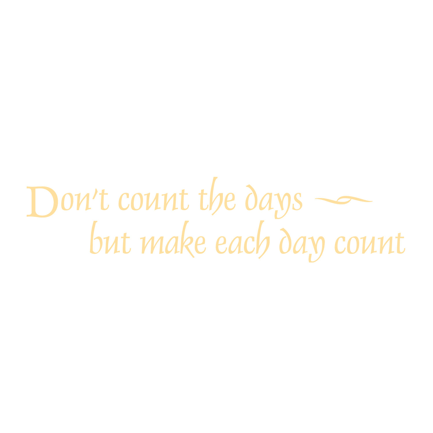 FiresideHome Don't Count the Days - But Make Each Day Count Wall Decal ...