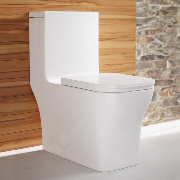 Shallow Depth Toilet | Wayfair