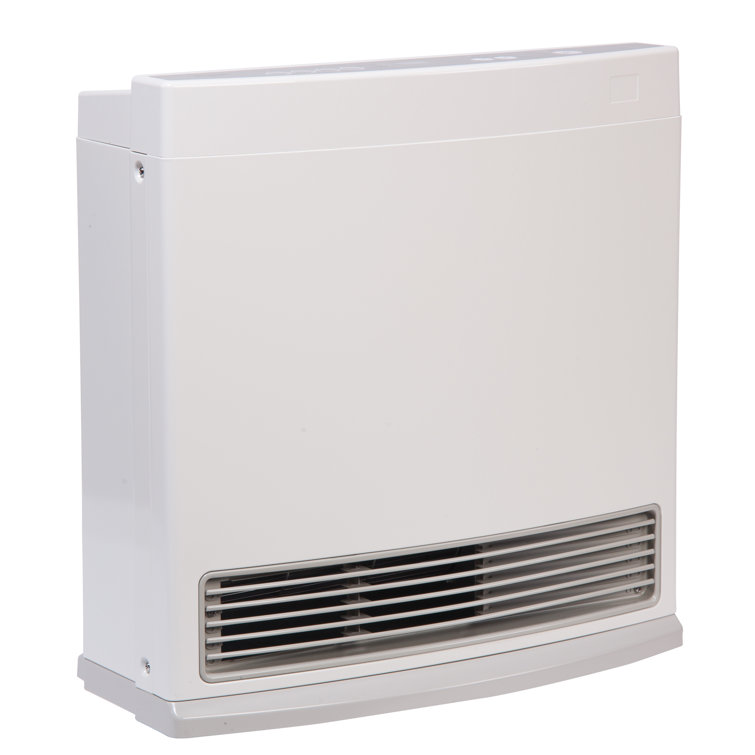 Rinnai R Series 10,000 BTU Electric/Natural Gas Fan Panel Heater ...