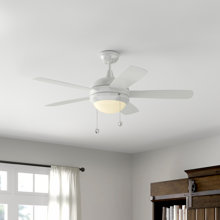 Wayfair | Ceiling Fans With Lights You'll Love in 2022