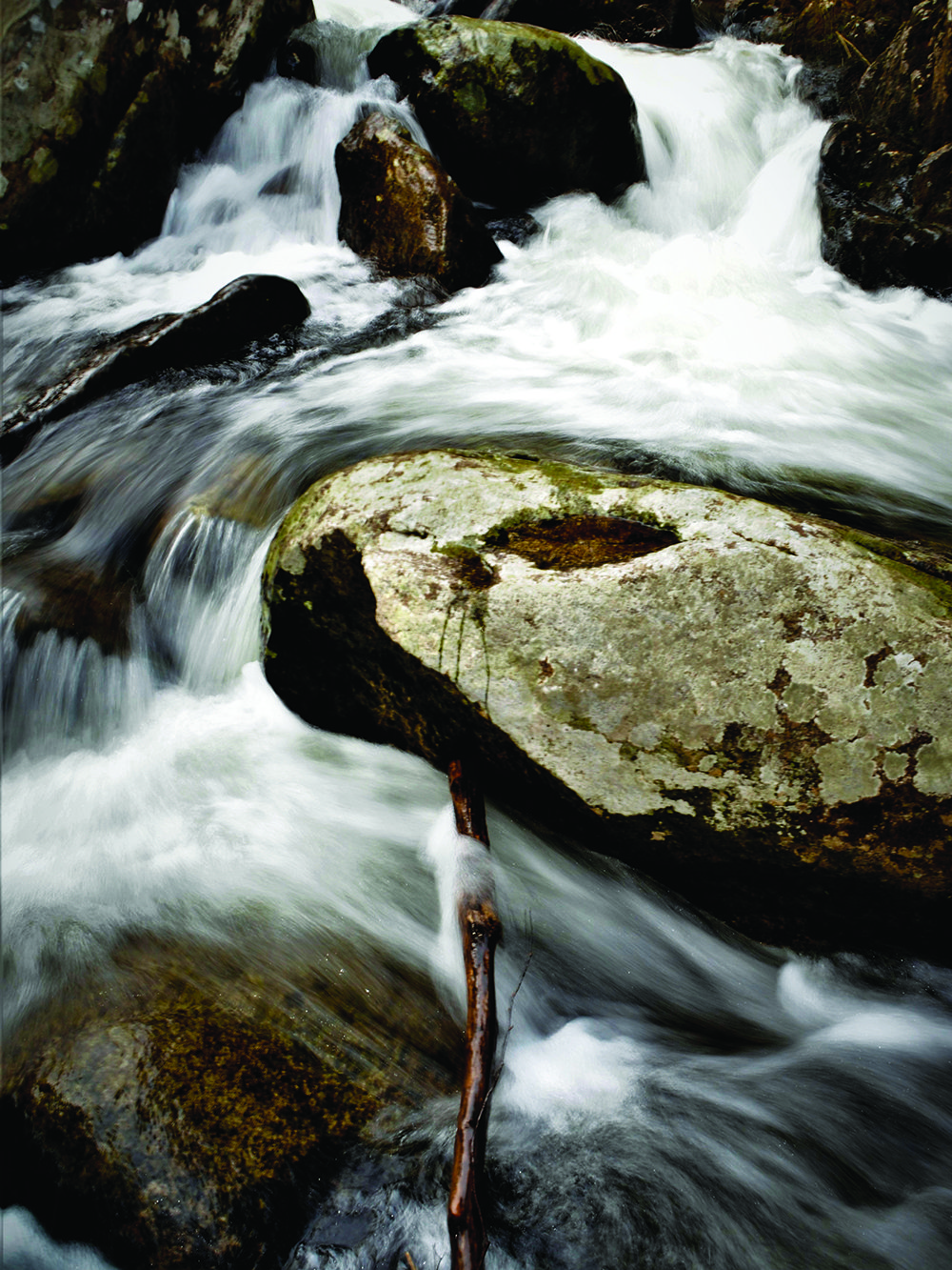Buy Art For Less Water Rush by Joseph Elliot - Photograph | Wayfair