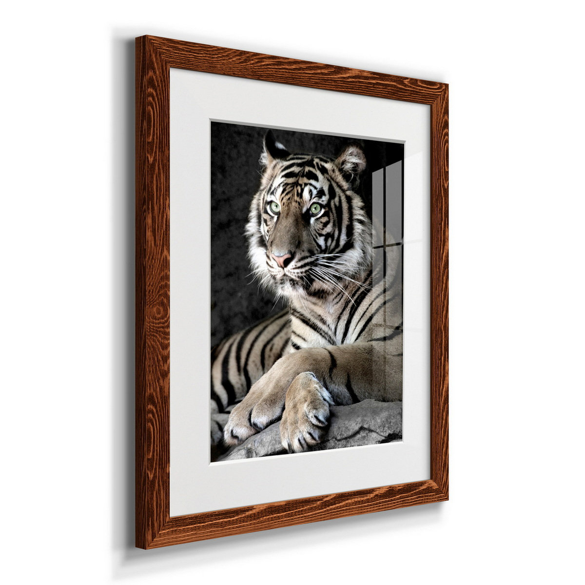Ebern Designs Sumatran Tiger - Picture Frame Photograph | Wayfair