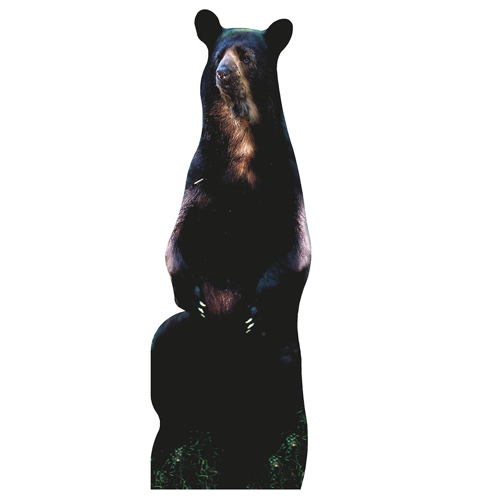 Wet Paint Printing Sitting Bear Cardboard Standup | Wayfair