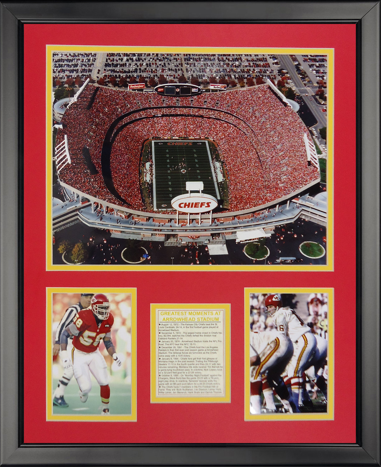 Legends Never Die NFL Picture Frame Memorabilia | Wayfair