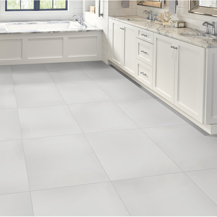 MSI 24" x 24" Porcelain Wall & Floor Tile | Wayfair