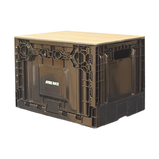 Rebrilliant Foldable Plastic Box | Wayfair