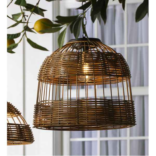 Breakwater Bay Haan Outdoor Pendant - Wayfair Canada