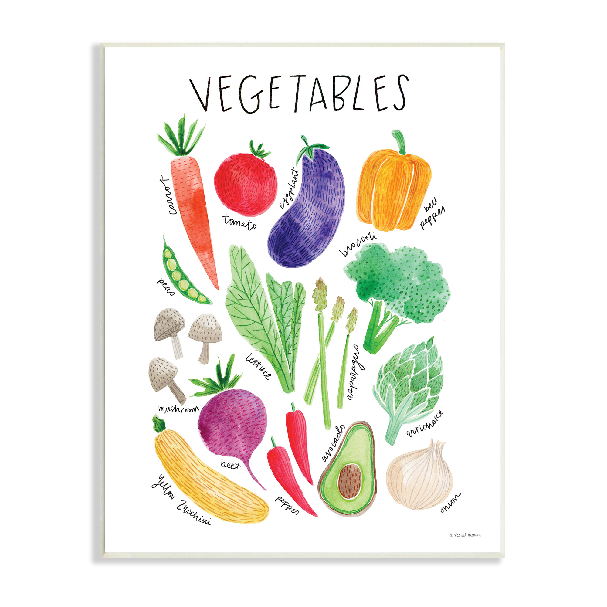 Stupell Industries Varied Vegetables Plants Labeled Diagram Kitchen ...
