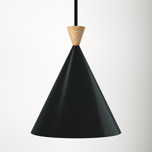 Modern Matte Black Pendant Lighting | AllModern