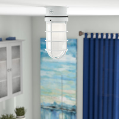 Breakwater Bay Edgewood Outdoor Bulkhead Light & Reviews | Wayfair