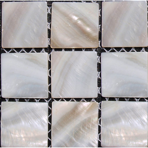 Matrix-Z SeaTile 1" x 1" Seashell Grid Mosaic Wall & Floor Tile | Wayfair