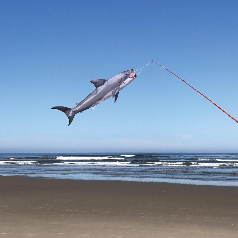 Breakwater Bay Baby Shark 30" Fish Windsock | Wayfair