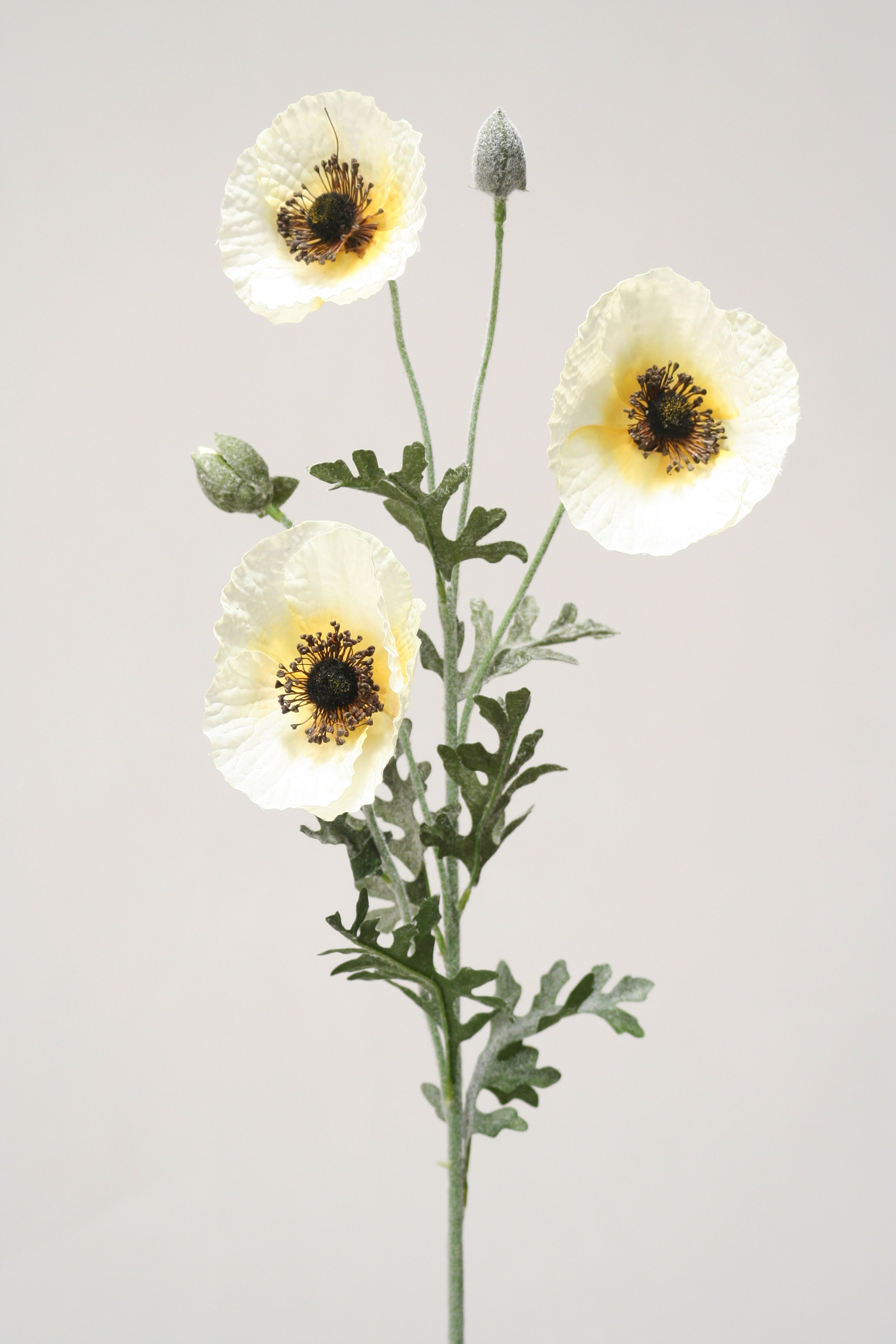 Primrue Poppy Spray | Wayfair