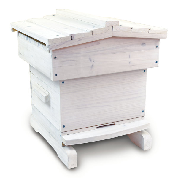 Beekeeping You'll Love in 2022 - Wayfair Canada