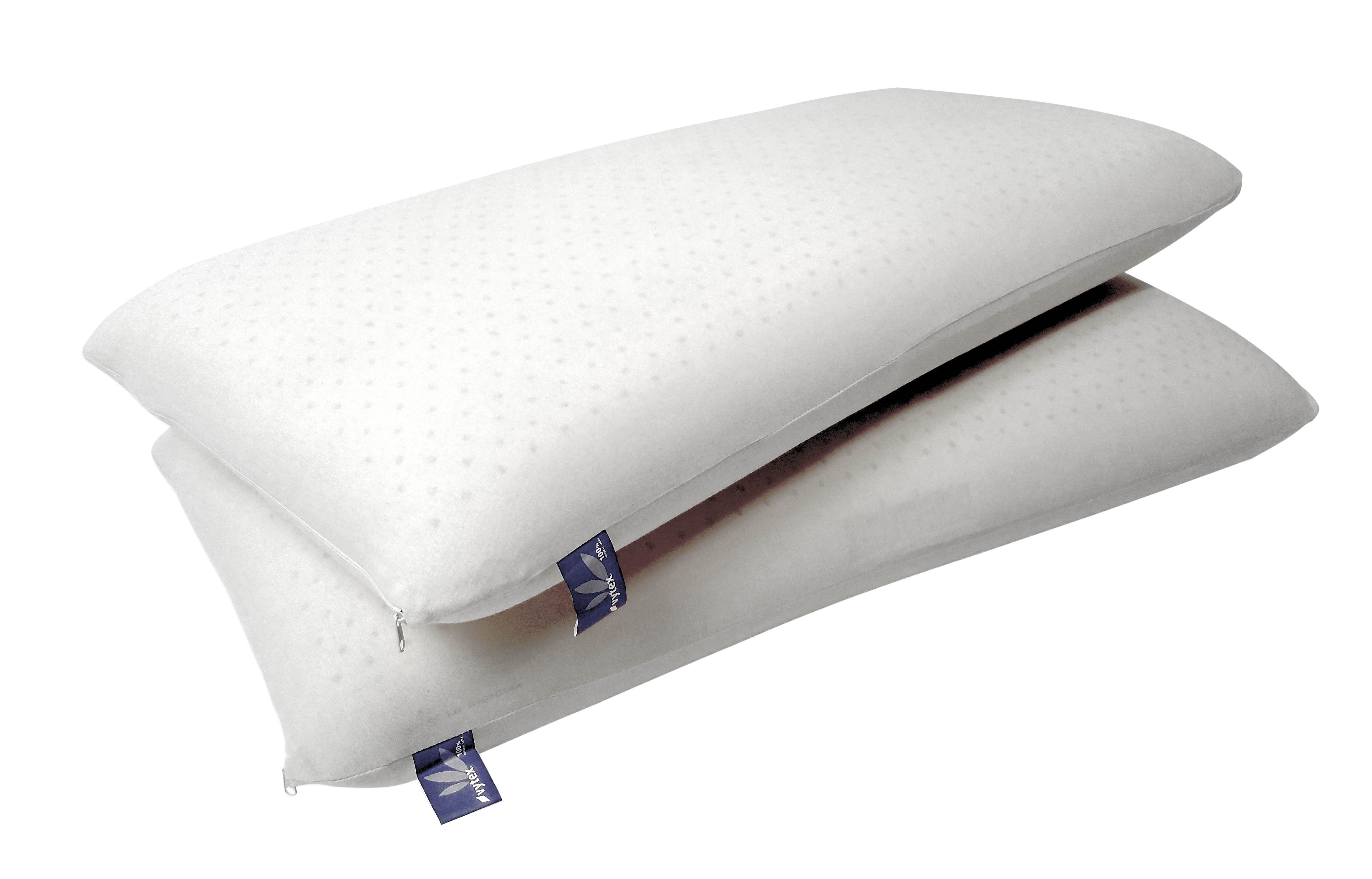 Arsuite Compton Foam Plush Cooling Pillow & Reviews | Wayfair