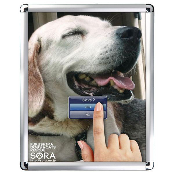 MT Displays Snap Frame | Wayfair