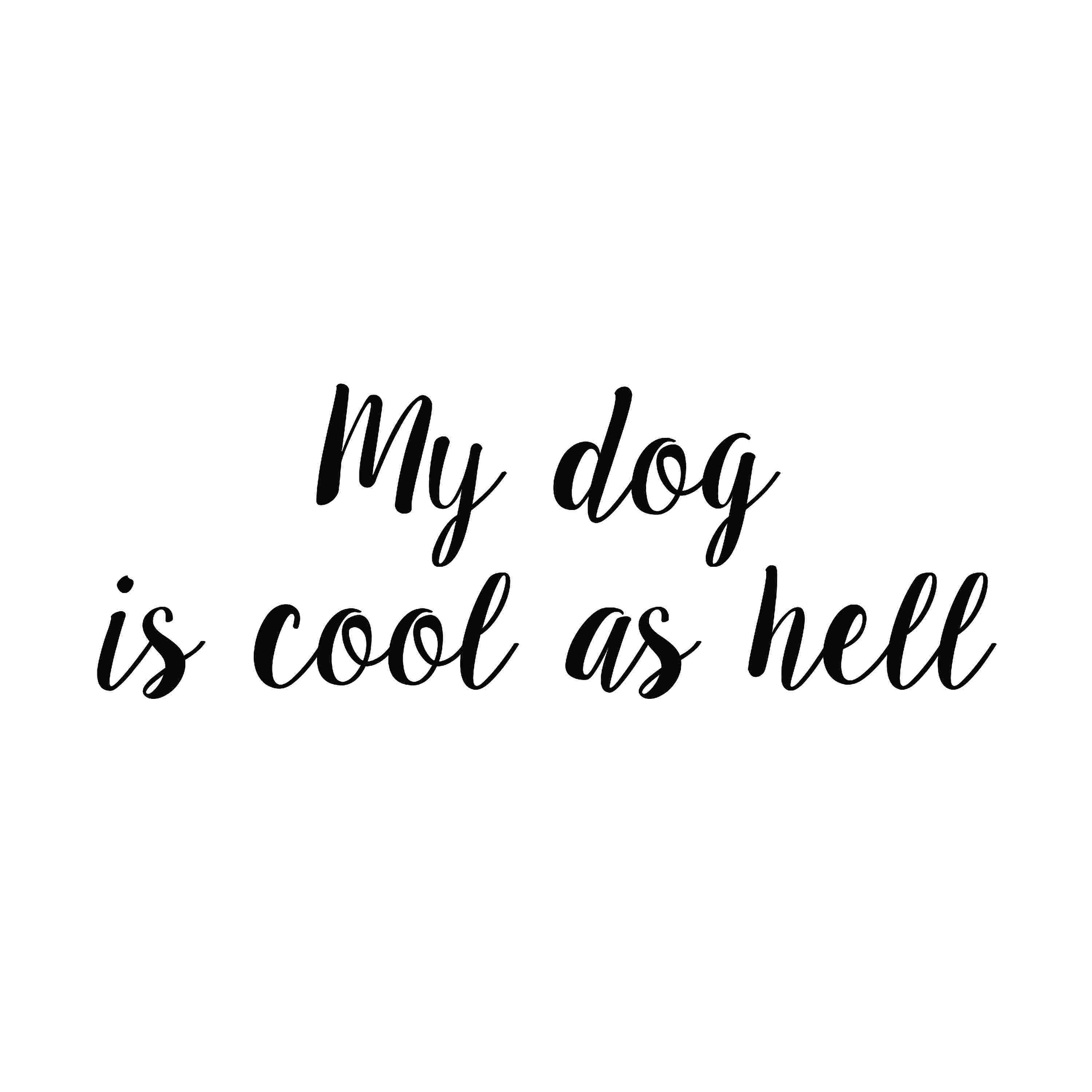 Trinx Cool As Hell 2 - Wrapped Canvas Print | Wayfair