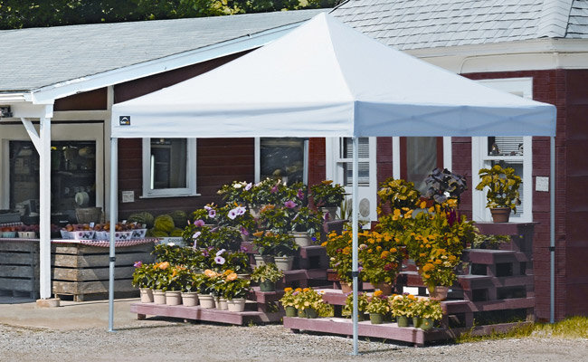 Canopy Buying Guide | Wayfair