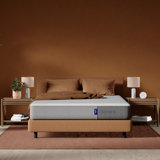 Modern Mattresses | AllModern