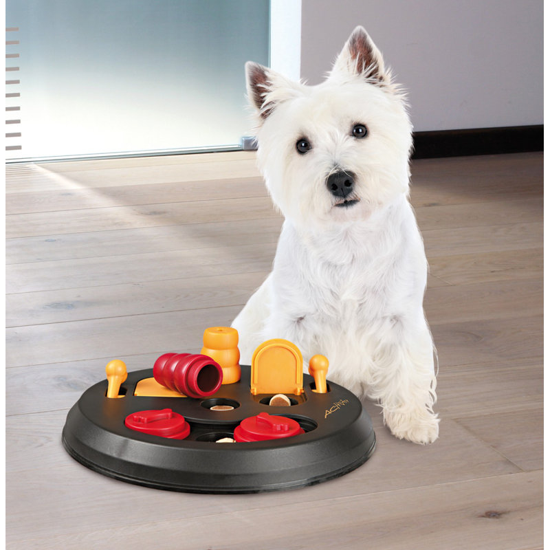 Tucker Murphy™ Pet Flip Board Dog Activity Game & Reviews | Wayfair