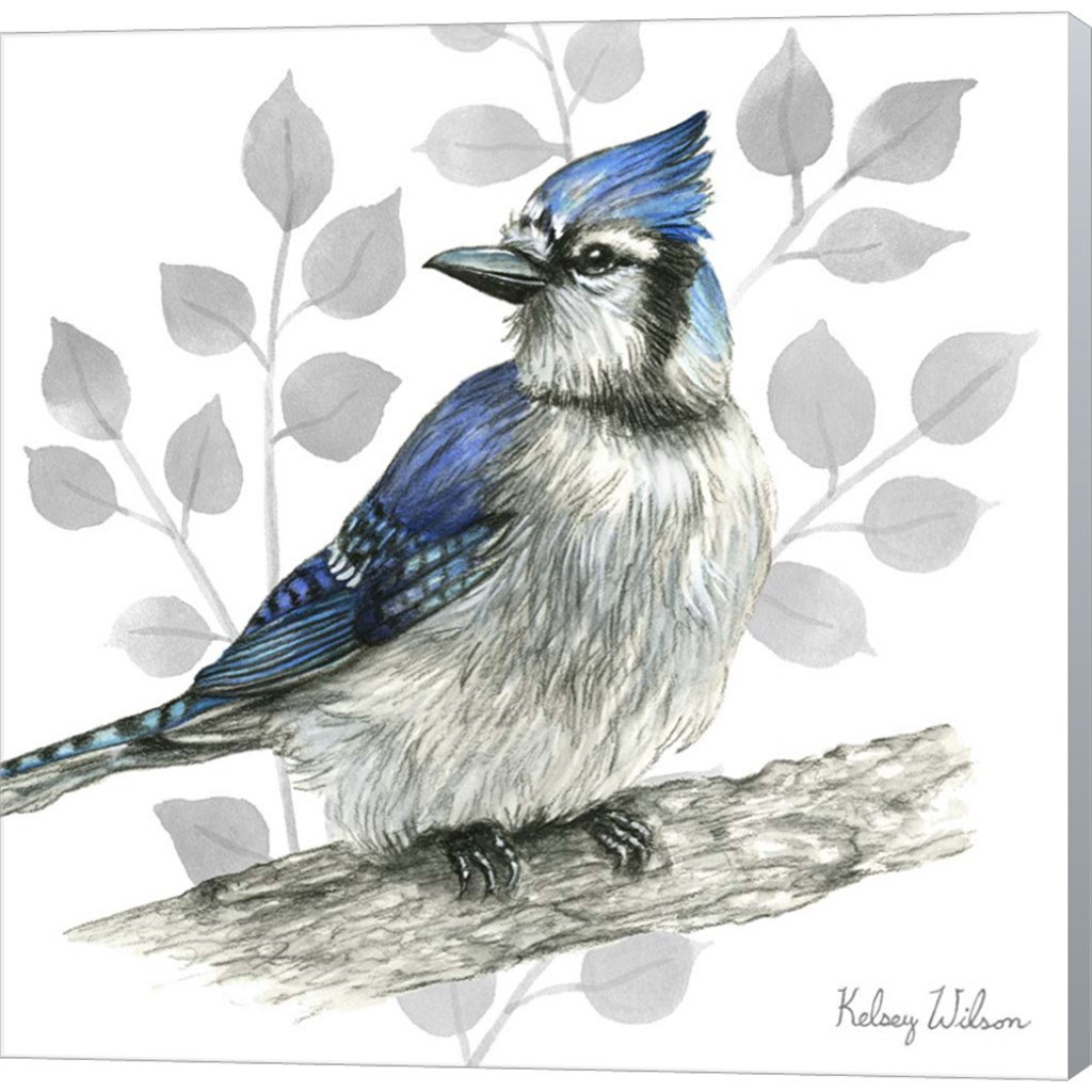Red Barrel Studio® Backyard Birds I-Blue Jay by - Wrapped Canvas ...
