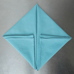 How to Make a Napkin Bunny | Wayfair