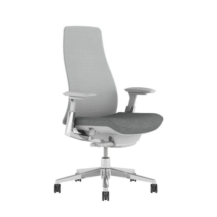 Haworth Fern Mesh Task Chair | Wayfair