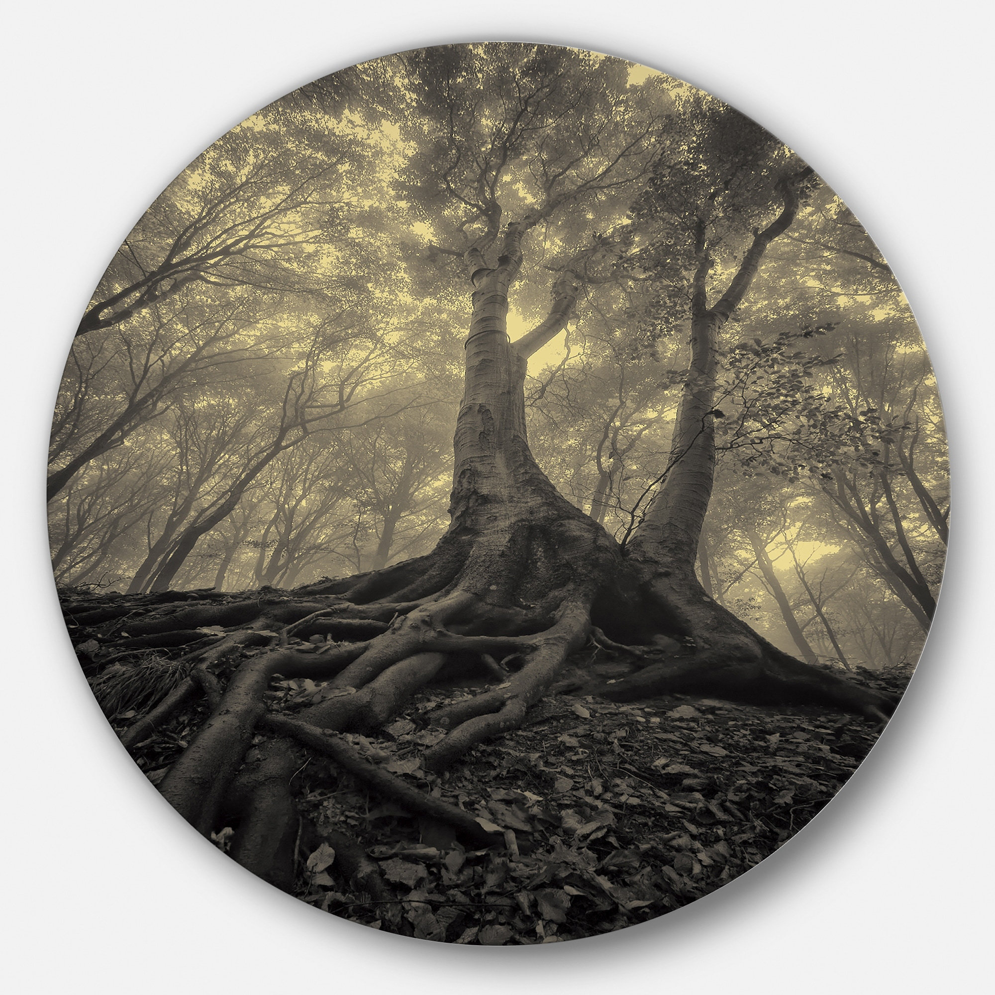 The Holiday Aisle® Dyllen Tree With Big Roots On Halloween - Graphic ...