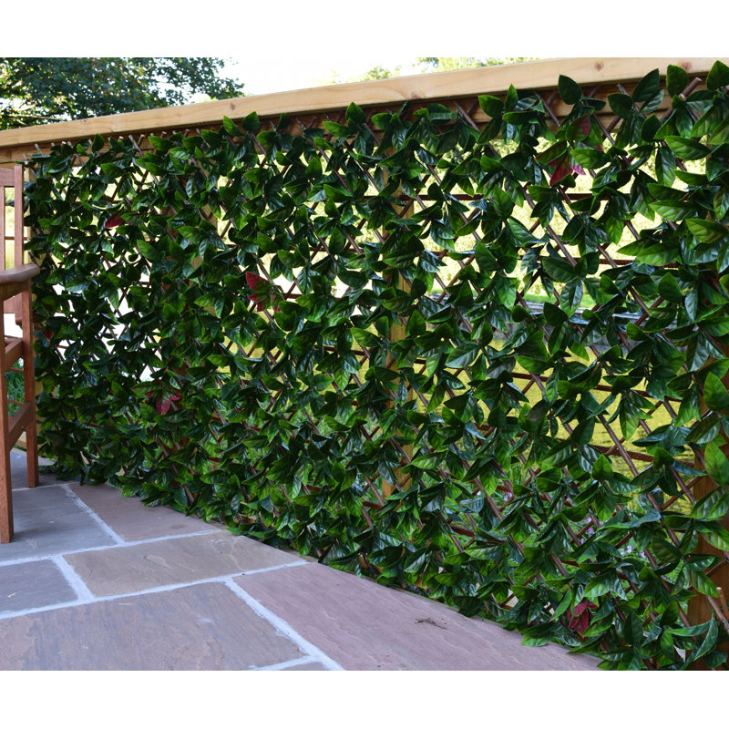 The Seasonal Aisle Plastic Expanding Trellis | Wayfair.co.uk