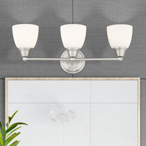Lark Manor Mayday 3 - Light Dimmable Vanity Light & Reviews | Wayfair