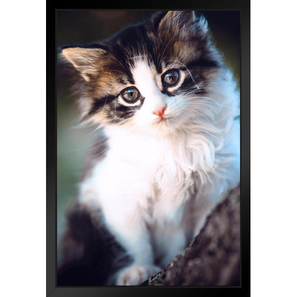 Latitude Run® Adorable Kitten Sitting In Tree Branch Animal Portrait ...