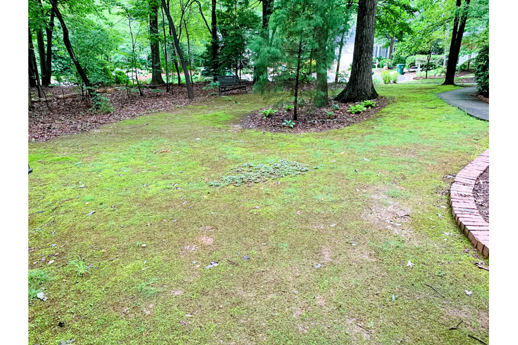 DIY Outdoor Flooring Ideas for a Dreamy Patio Alternative | Wayfair