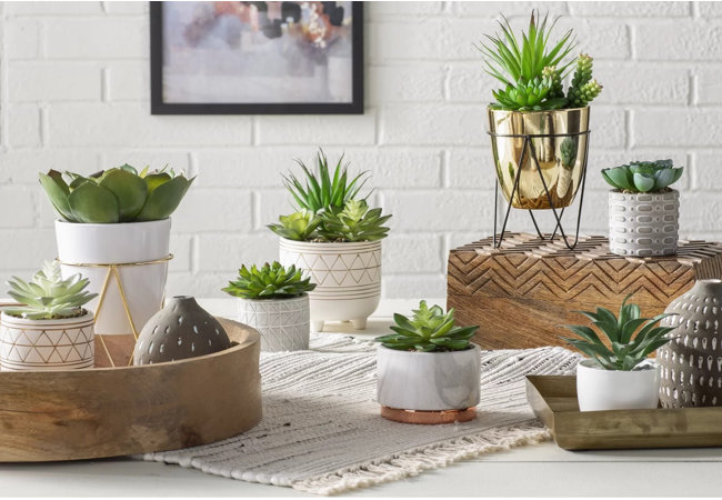 The Ultimate Guide to Planter Sizes & Types | Wayfair