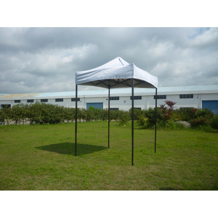 American Phoenix 5 Ft. W x 5 Ft. D Steel Pop-Up Canopy & Reviews | Wayfair