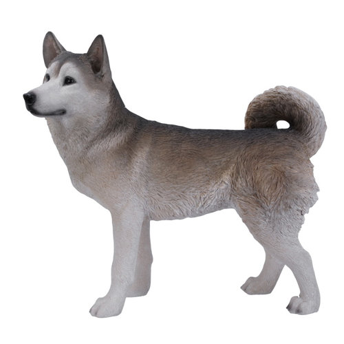 Hi-Line Gift Ltd. Siberian Husky Dog Statue & Reviews | Wayfair