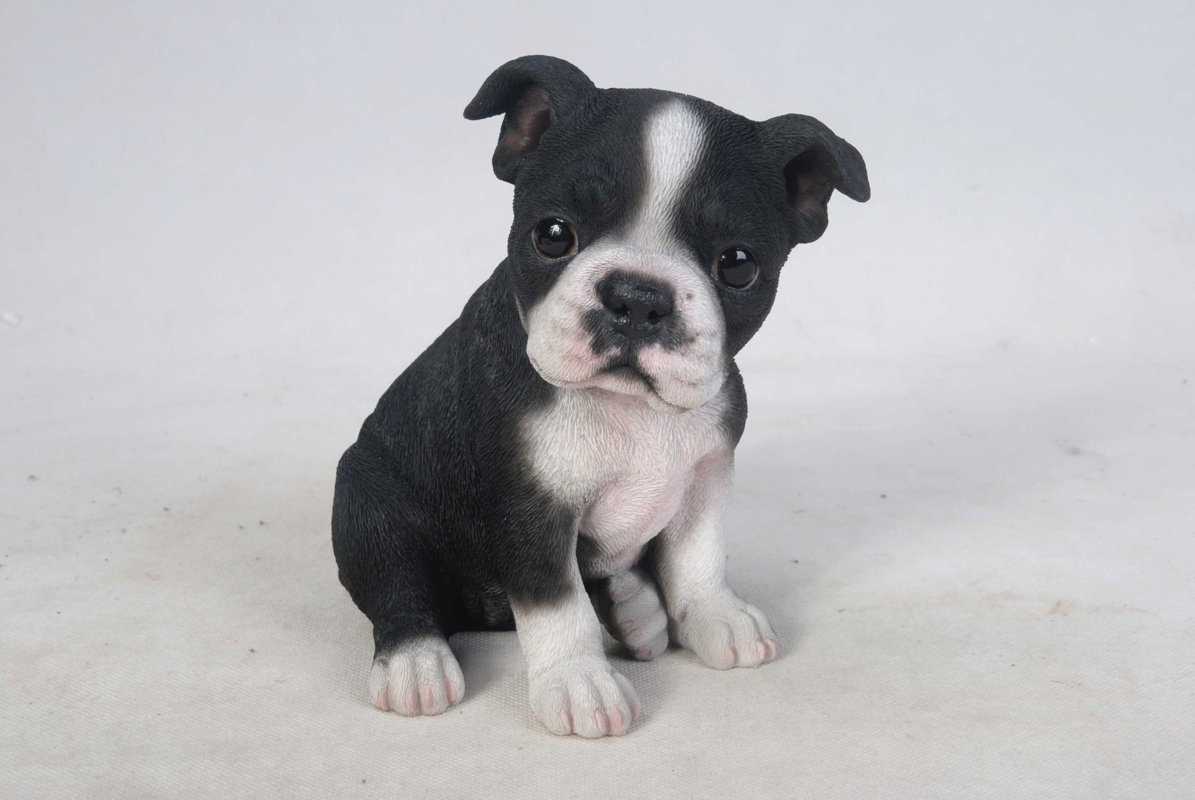 Hi-Line Gift Ltd. Sitting Boston Terrier Puppy Statue & Reviews | Wayfair
