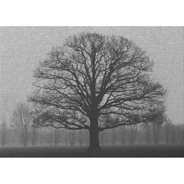 Tree-area-rug | Wayfair