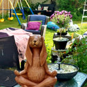 Wind & Weather Meditating Rabbit Statue & Reviews | Wayfair