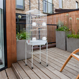 Wayfair | Large Bird Cages