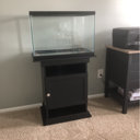 Archie & Oscar™ Agamemnon Rectangle Aquarium Stand & Reviews | Wayfair