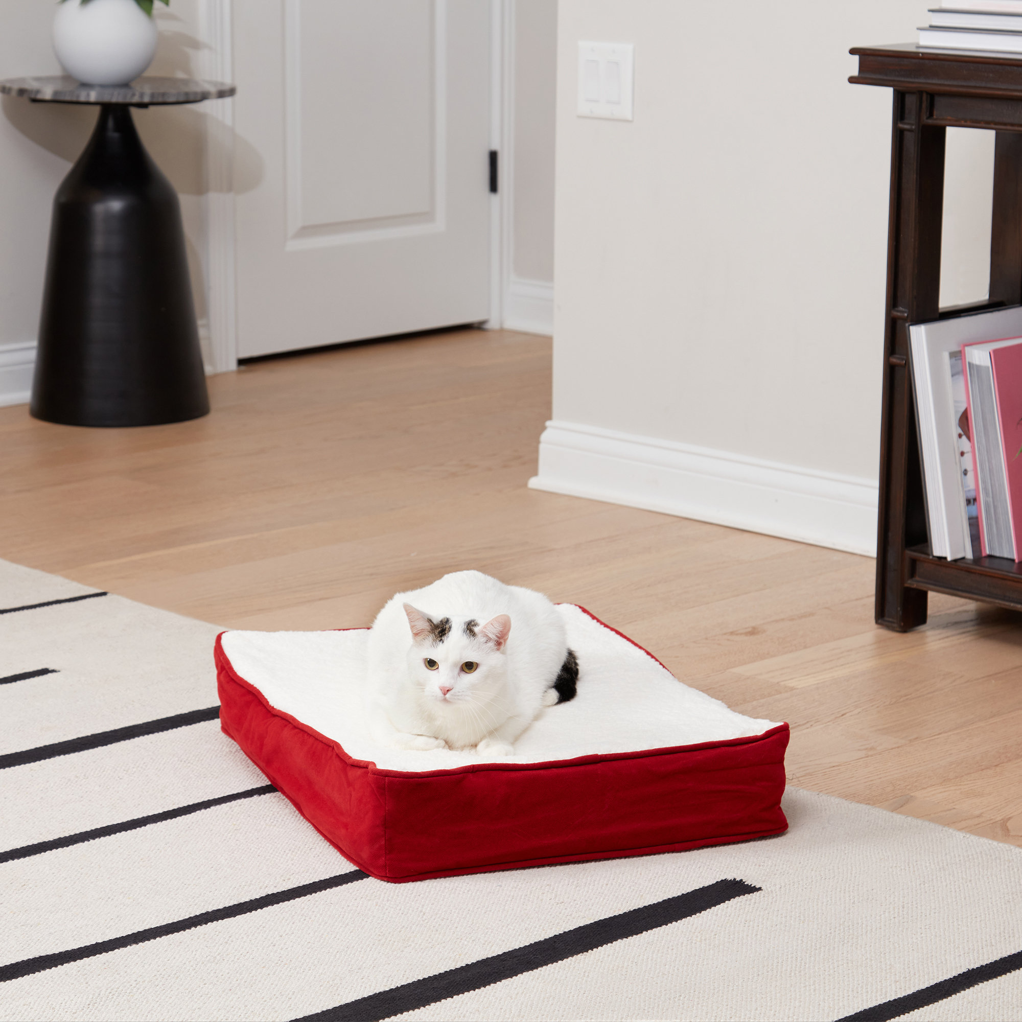 Happy Hounds Orthopedic Rectangle Cat Bed | Wayfair