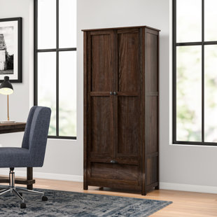 Shallow Depth Storage Cabinet | Wayfair
