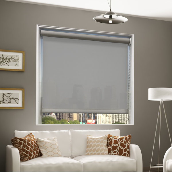 Symple Stuff Privacy Room Darkening Gray Roller Shade | Wayfair