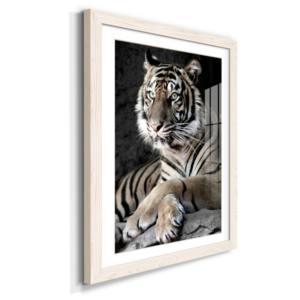 Ebern Designs Sumatran Tiger - Picture Frame Photograph | Wayfair
