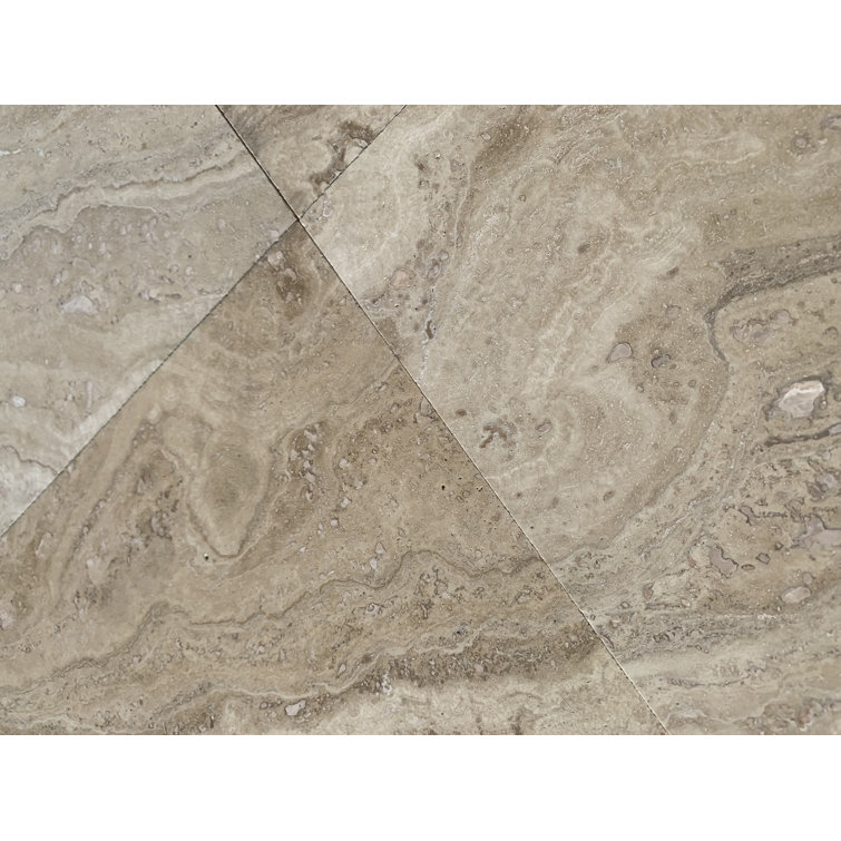 SB TILE AND STONE Coral Travertine 12"x12" Honed Tile | Wayfair