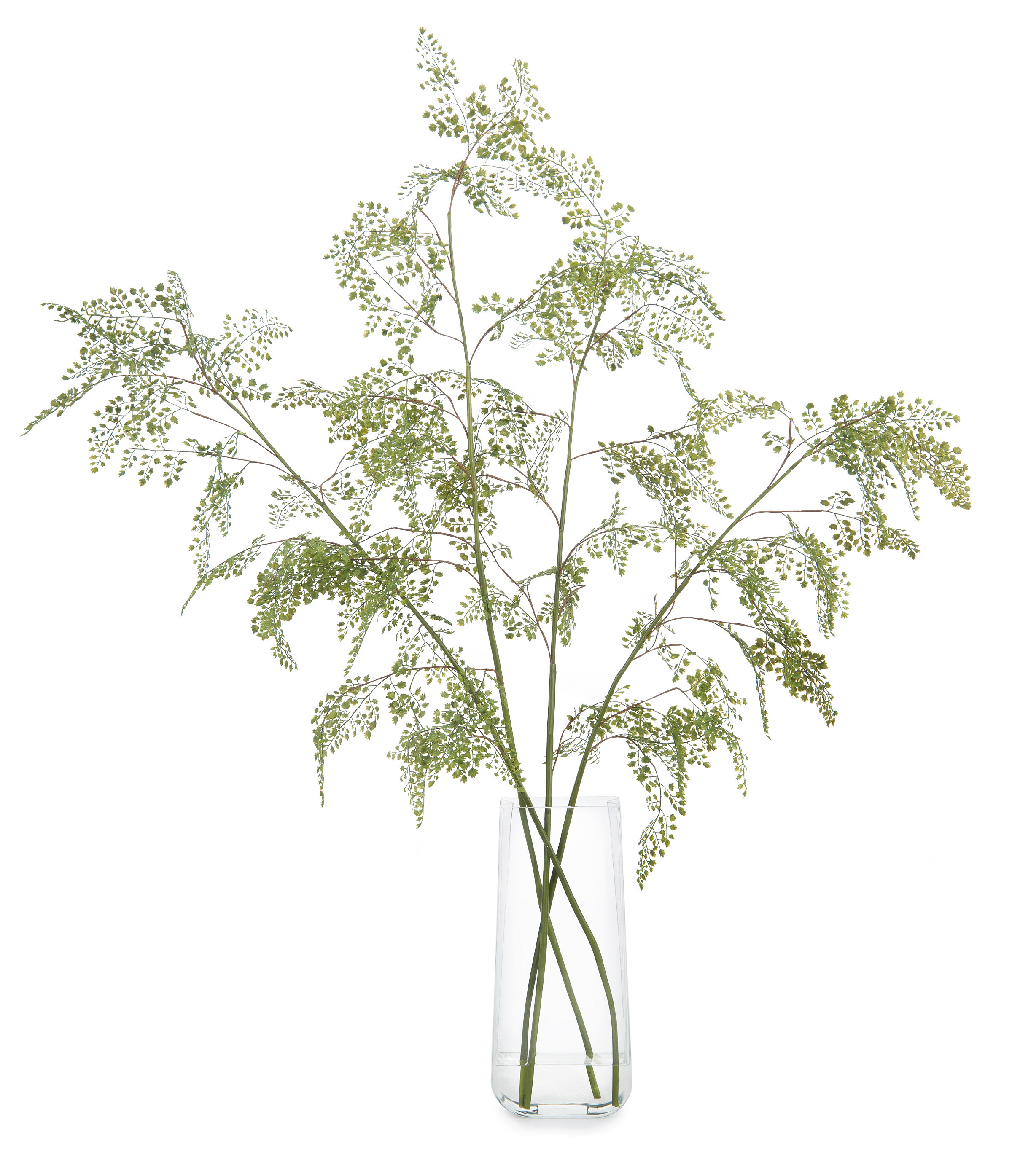 John-Richard Artificial Fern Branch in Jar | Perigold