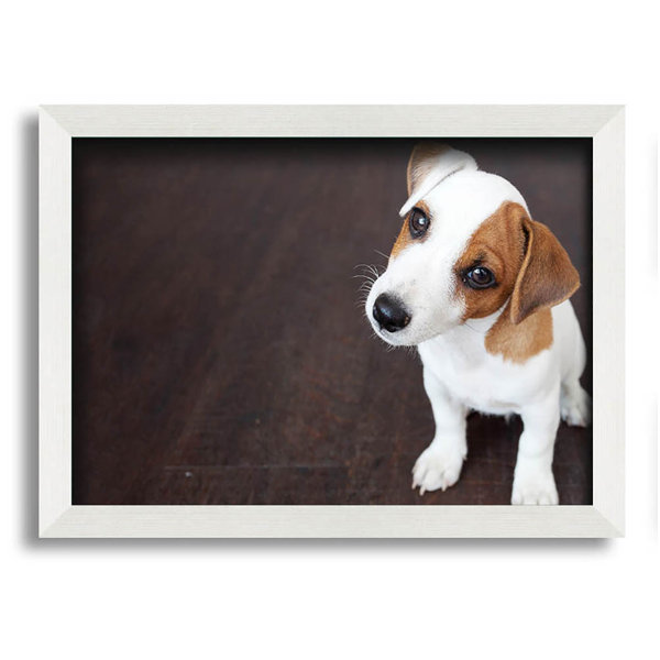 Latitude Run Ermentrude Inquisitive Dog Jack Russell Pup - Single ...