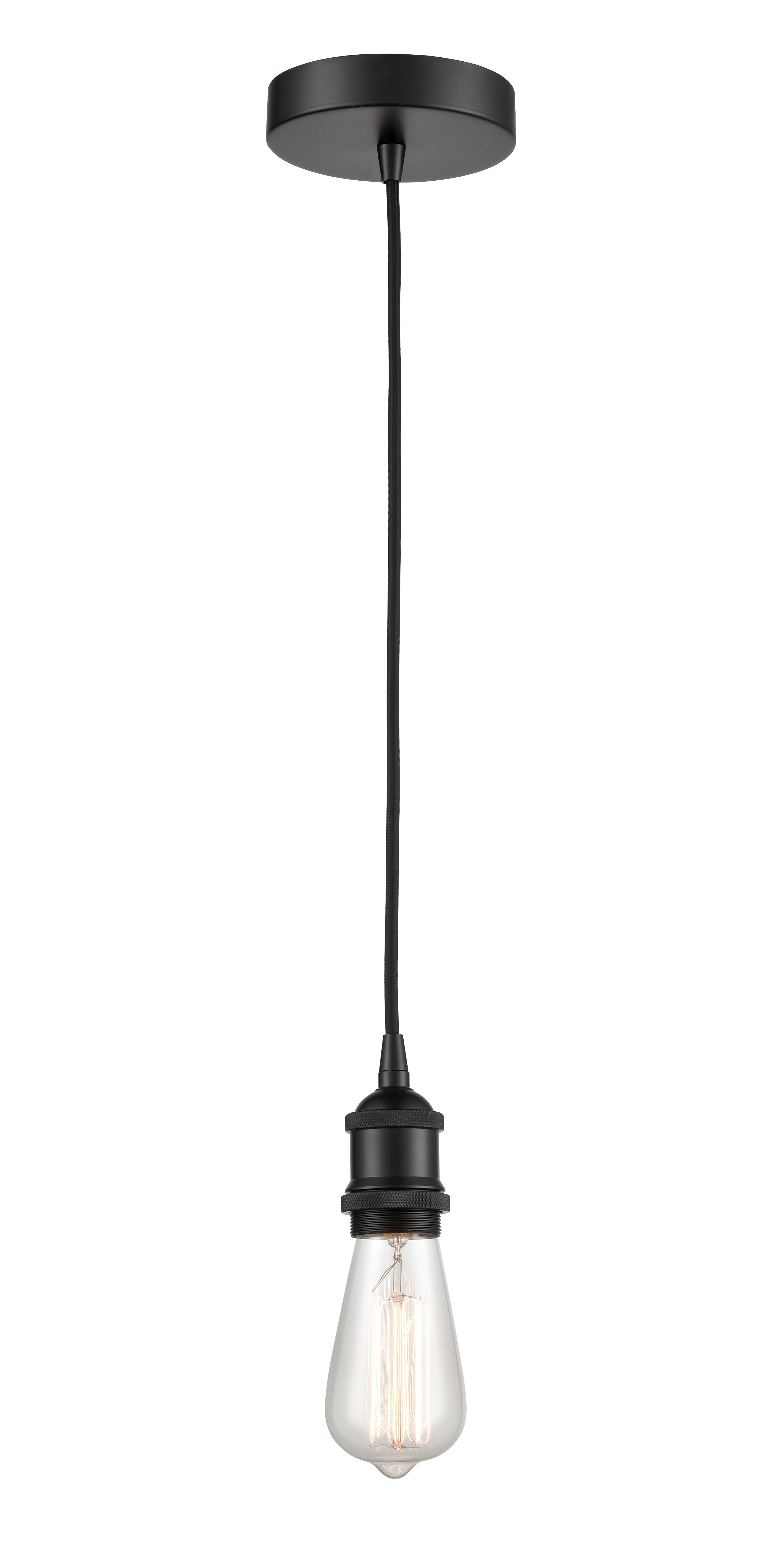Longshore Tides Aniaha 1 - Light Single Bulb Pendant | Wayfair
