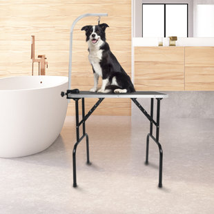 Wayfair | Dog Grooming Tables & Bath Tubs